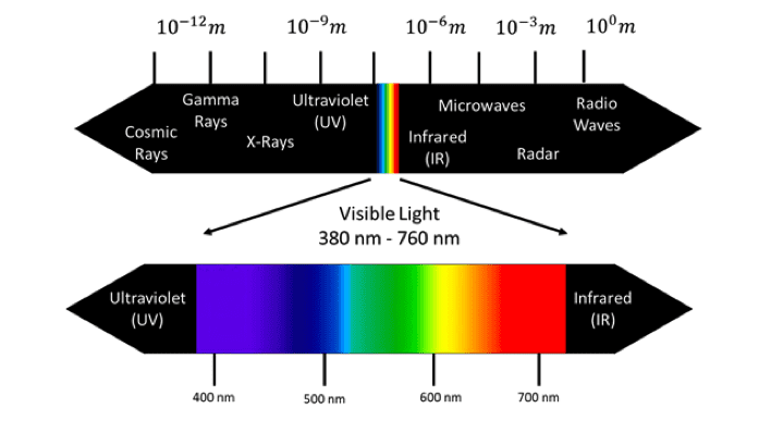 A Quick Guide to Understanding Infrared Cinematography | Filmstro